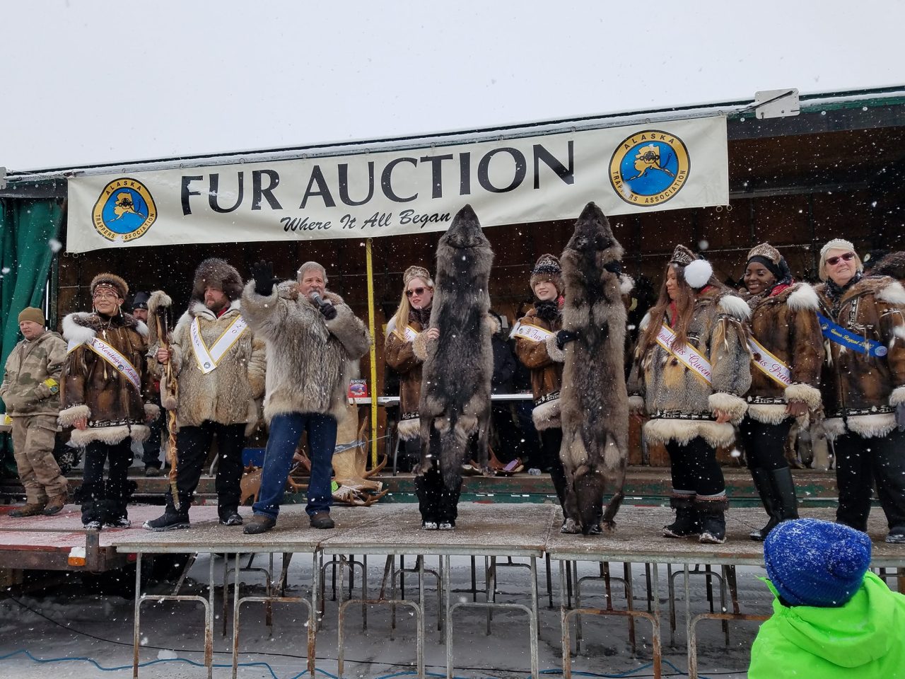 Fur Auctions - Alaska Trappers Association